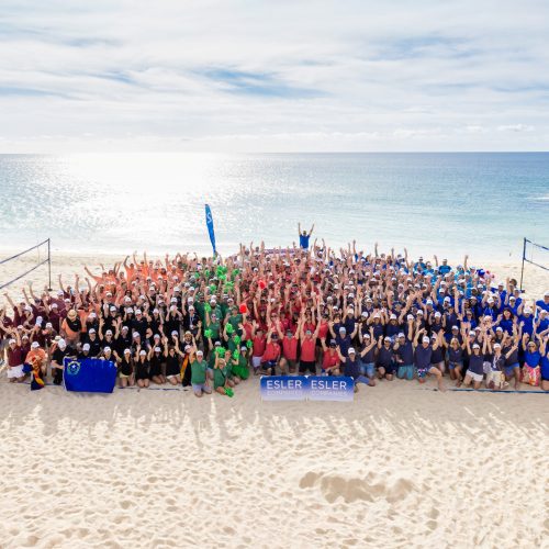 News - Esler Companies